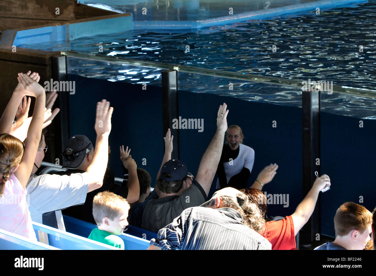 Killer whale - San Antonio (Texas) SeaWorld, the biggest of three ...