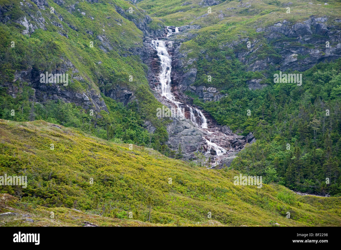 A waterfall near the southern coast of Newfoundland Stock Photo - Alamy