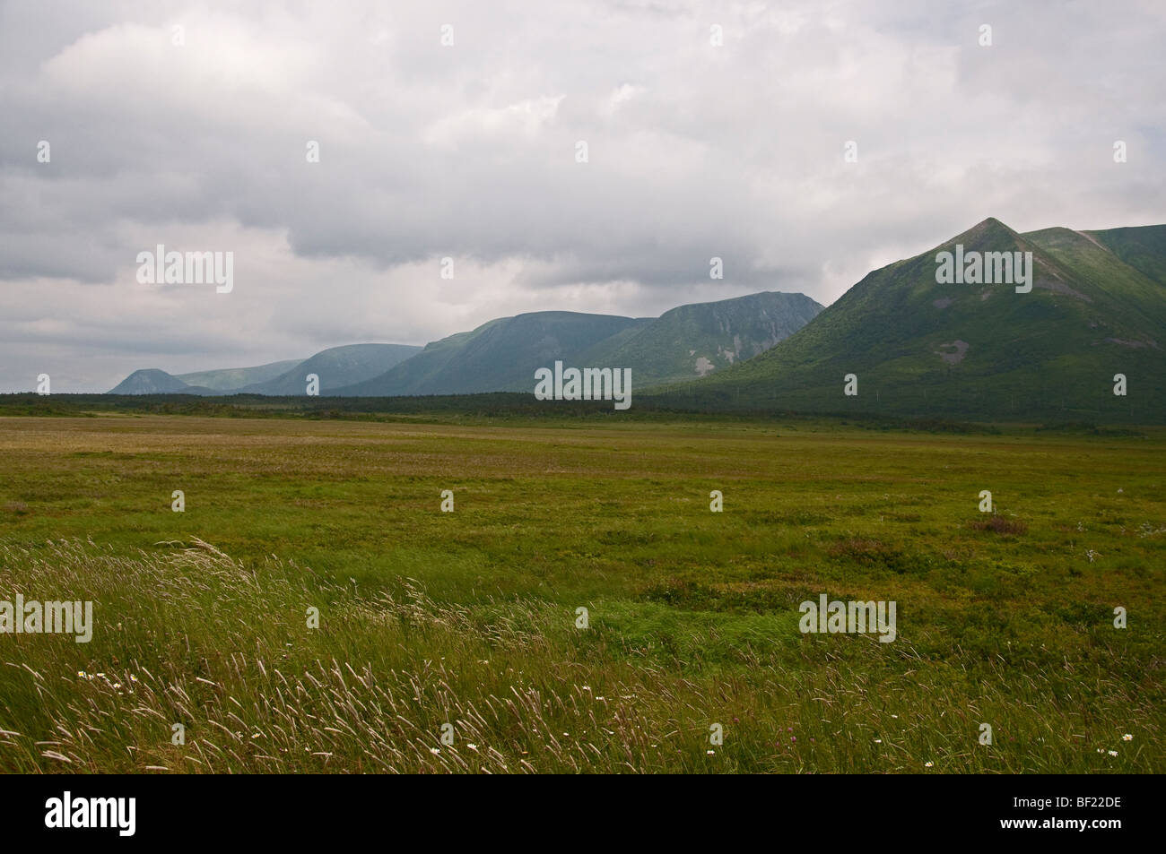 Western lowlands hi-res stock photography and images - Alamy