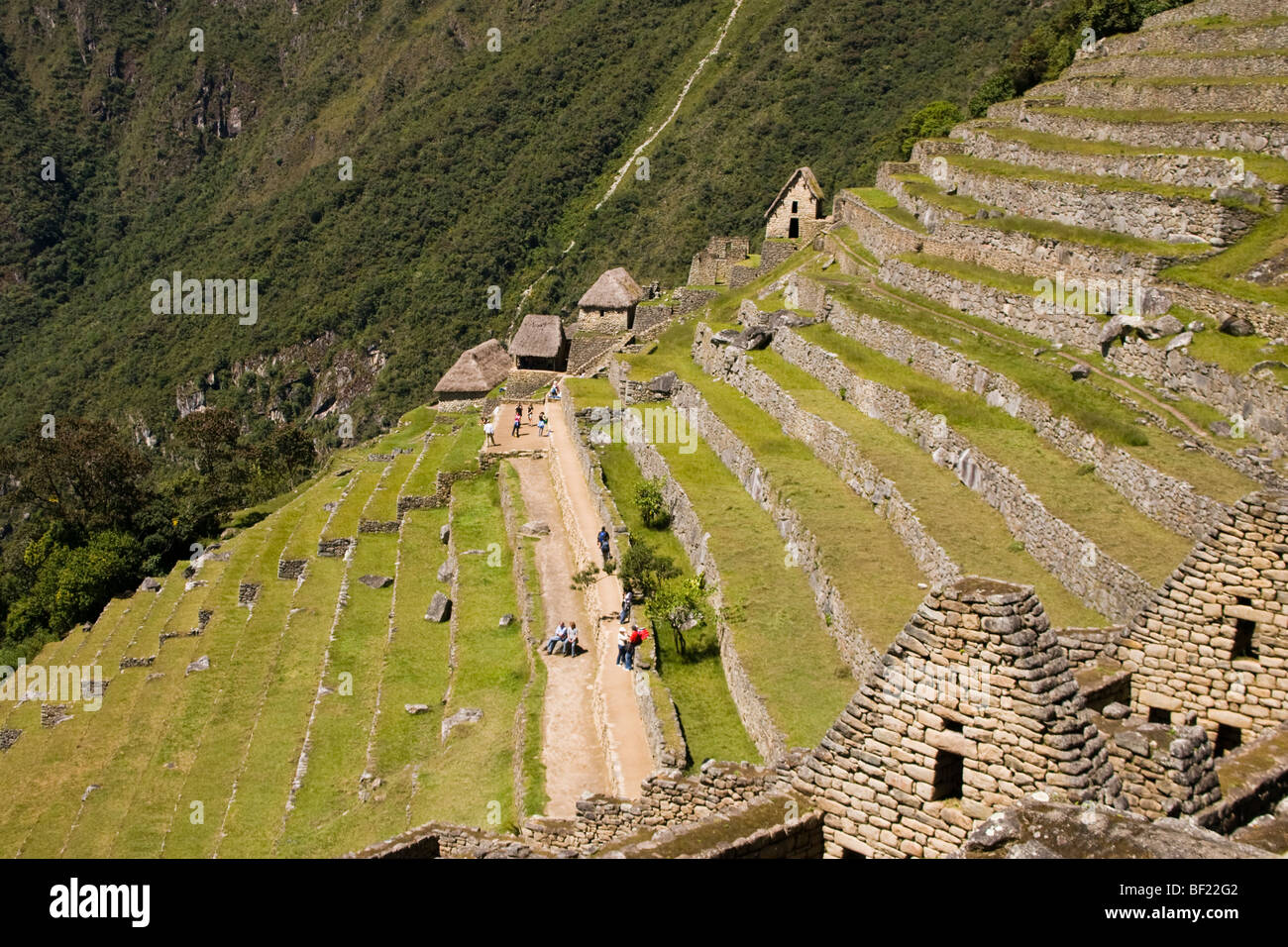Farming steps lining the mountain side at Machu Picchu Stock Photo - Alamy