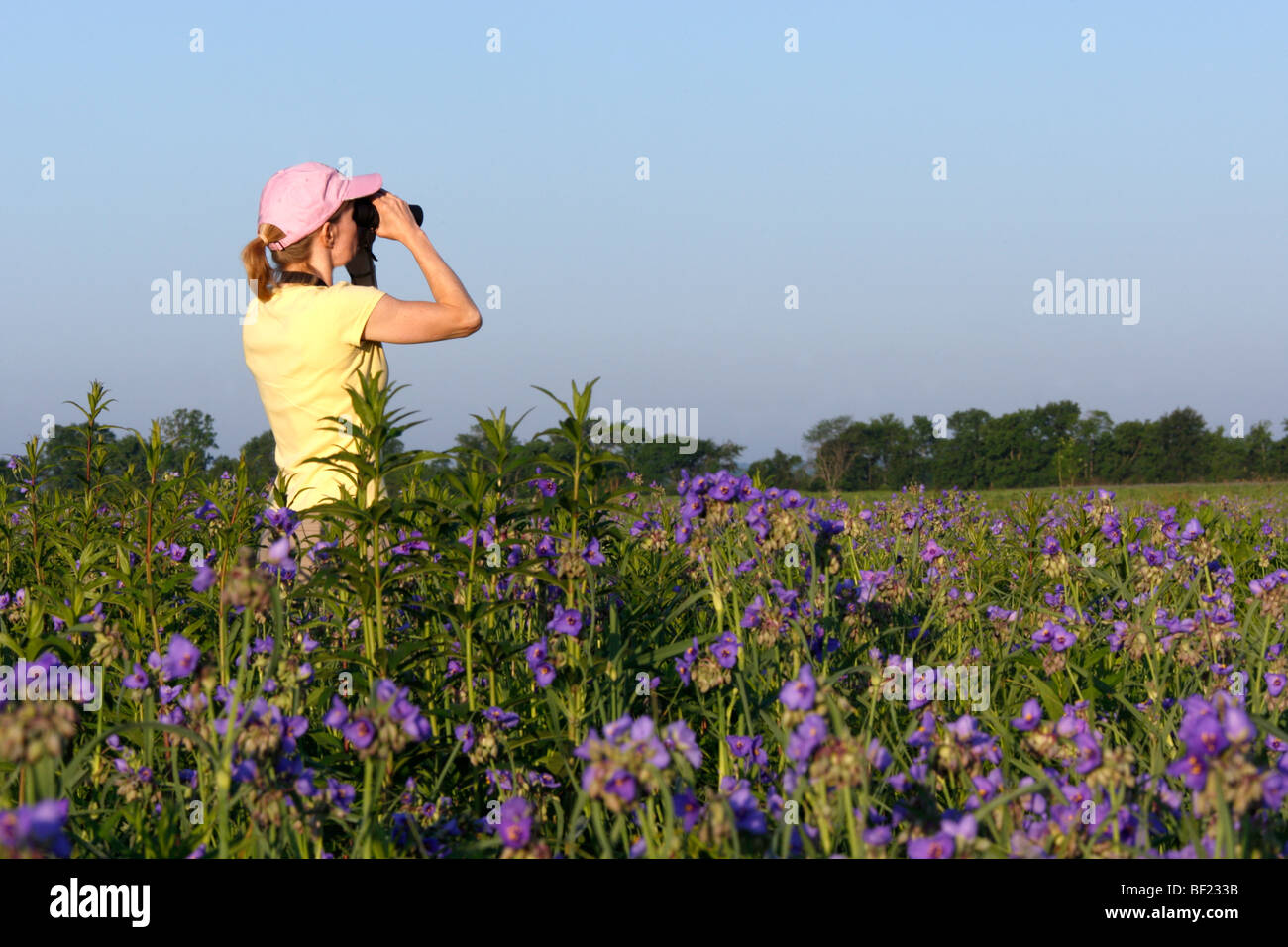 Female woman lady birder birdwatcher hi-res stock photography and ...