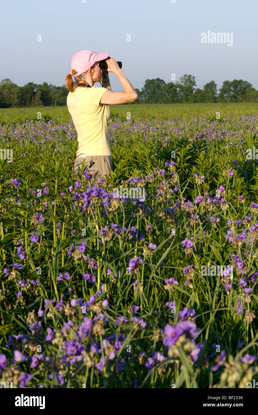Female woman lady birder birdwatcher hi-res stock photography and ...
