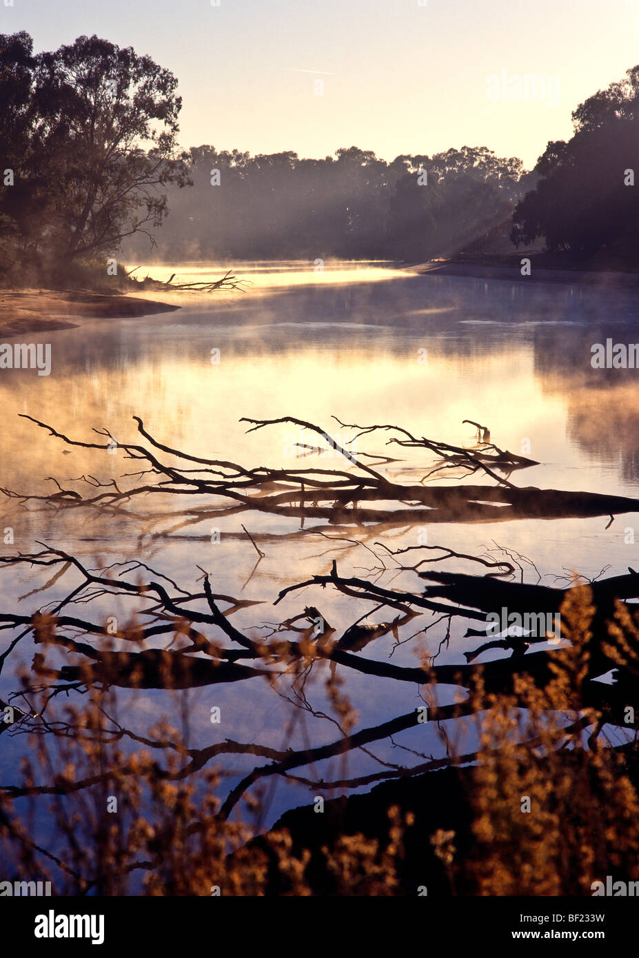 "Murray River" Australia Stock Photo - Alamy
