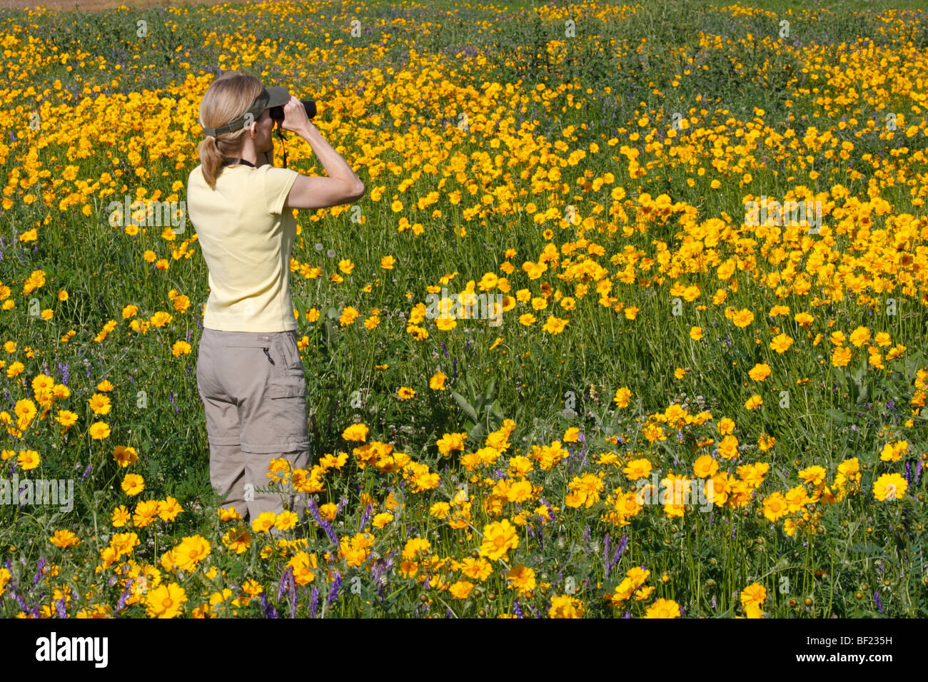 Female woman lady birder birdwatcher hi-res stock photography and ...
