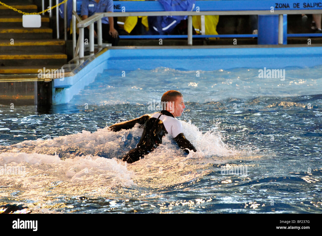 Killer whale - San Antonio (Texas) SeaWorld, the biggest of three ...