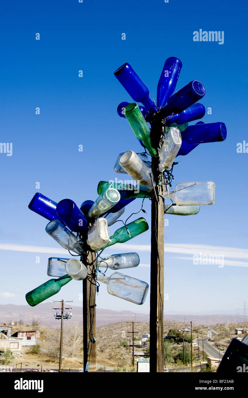 A desert bottle tree in Randsberg, CA., in the northern Mojave Desert ...