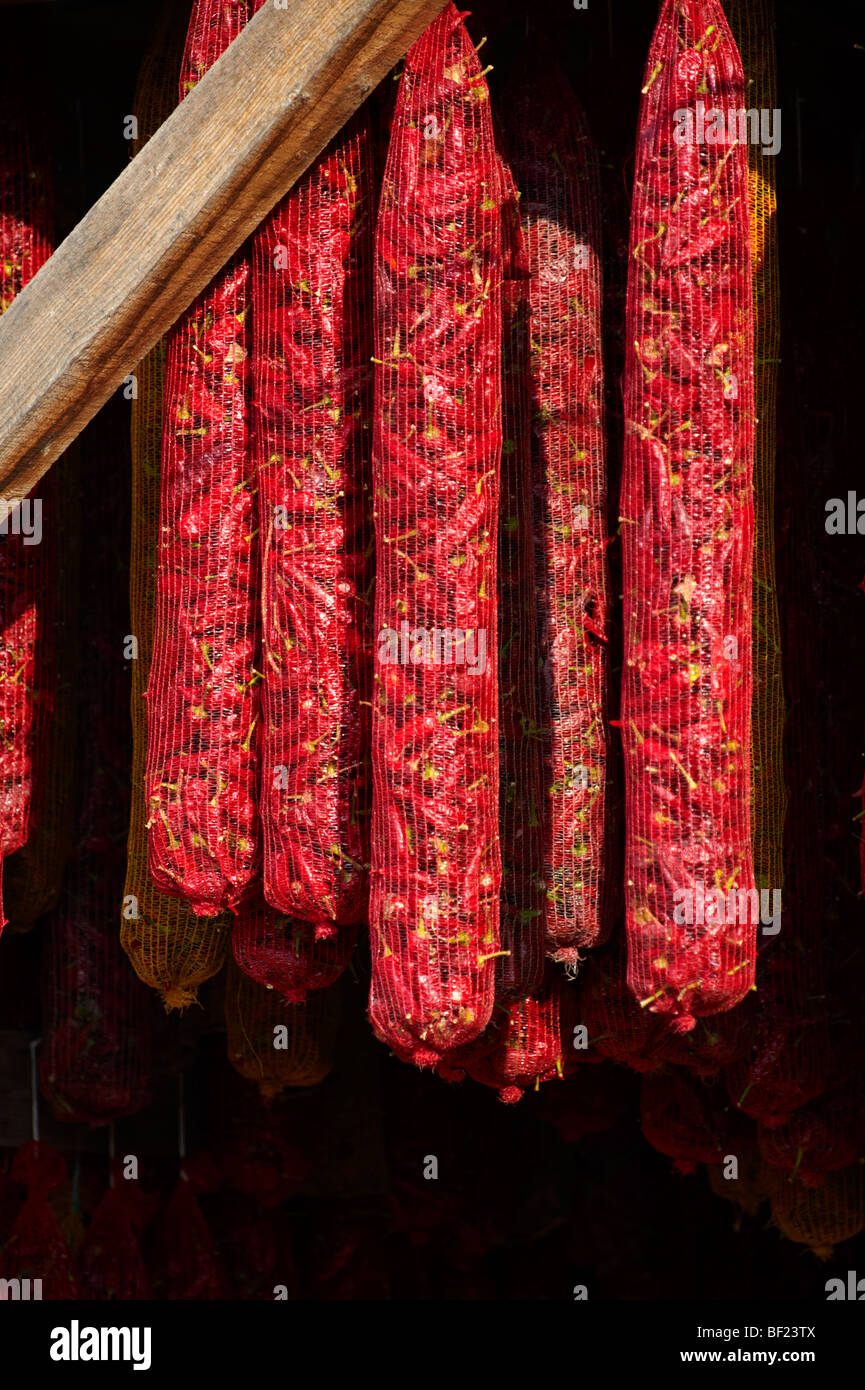 Capsicum annuum or chili peppers air drying to make Hungarian paprika ...