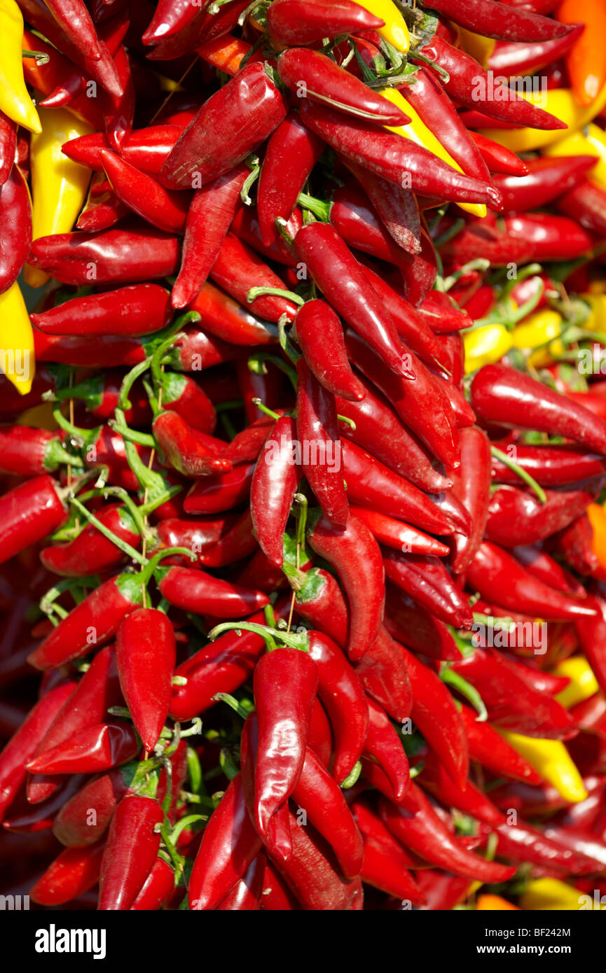 Chillies hi-res stock photography and images - Alamy