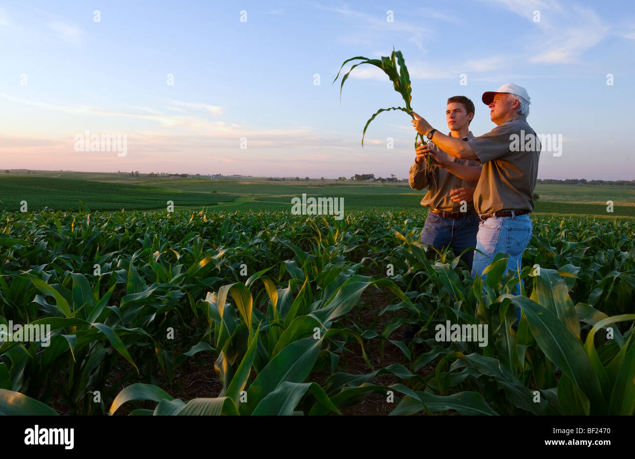 Iowa field farmer hi-res stock photography and images - Alamy