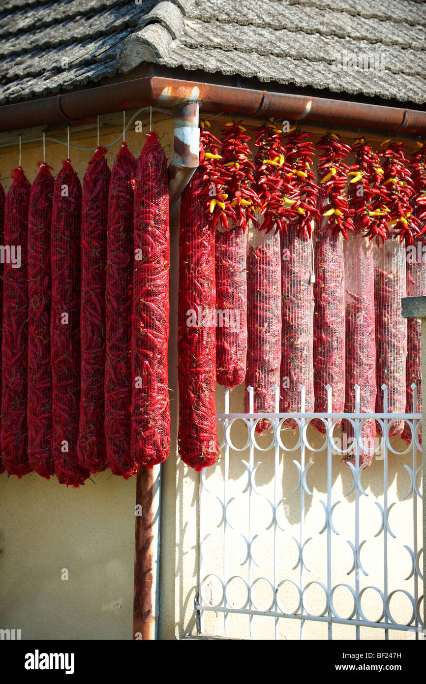 Air dried chilies hi-res stock photography and images - Alamy
