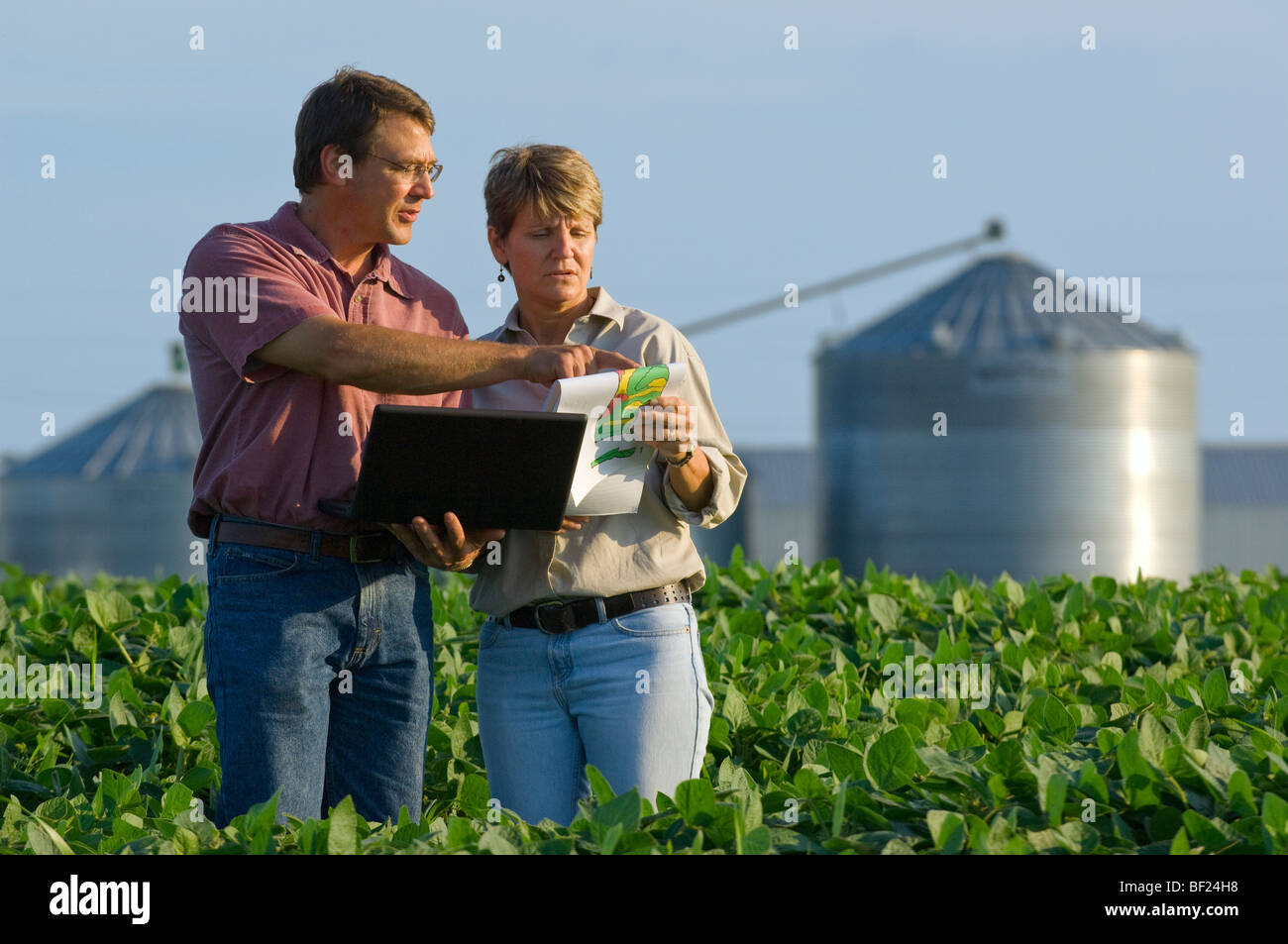 Husband and wife farmers standing in their soybean field input crop ...