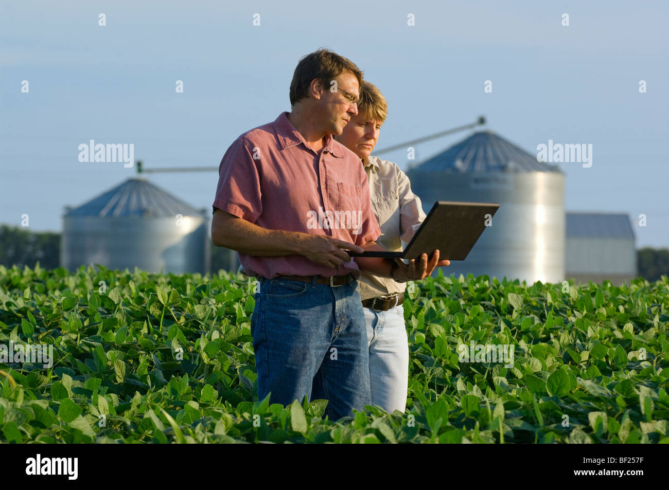 Husband and wife farmers standing in their soybean field input crop ...