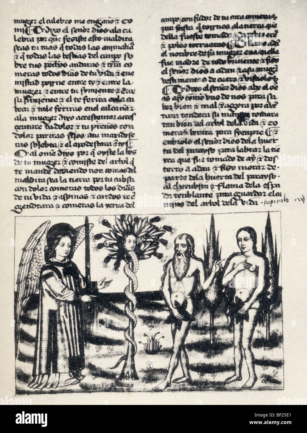 Adam and eve in the garden of eden hi-res stock photography and images - Alamy