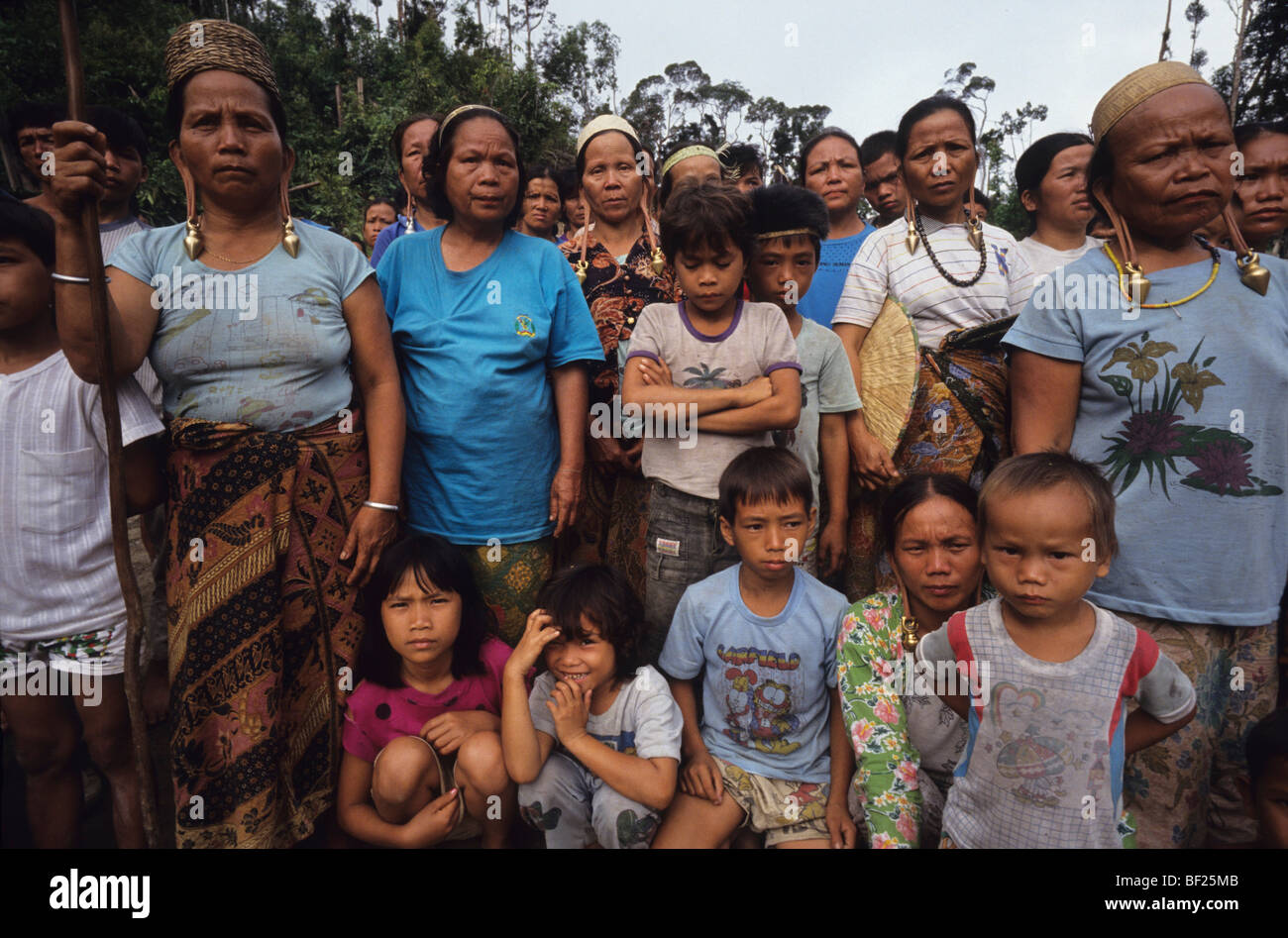 Dayaks blockading logging road. Tropical rainforest, one of the world's ...