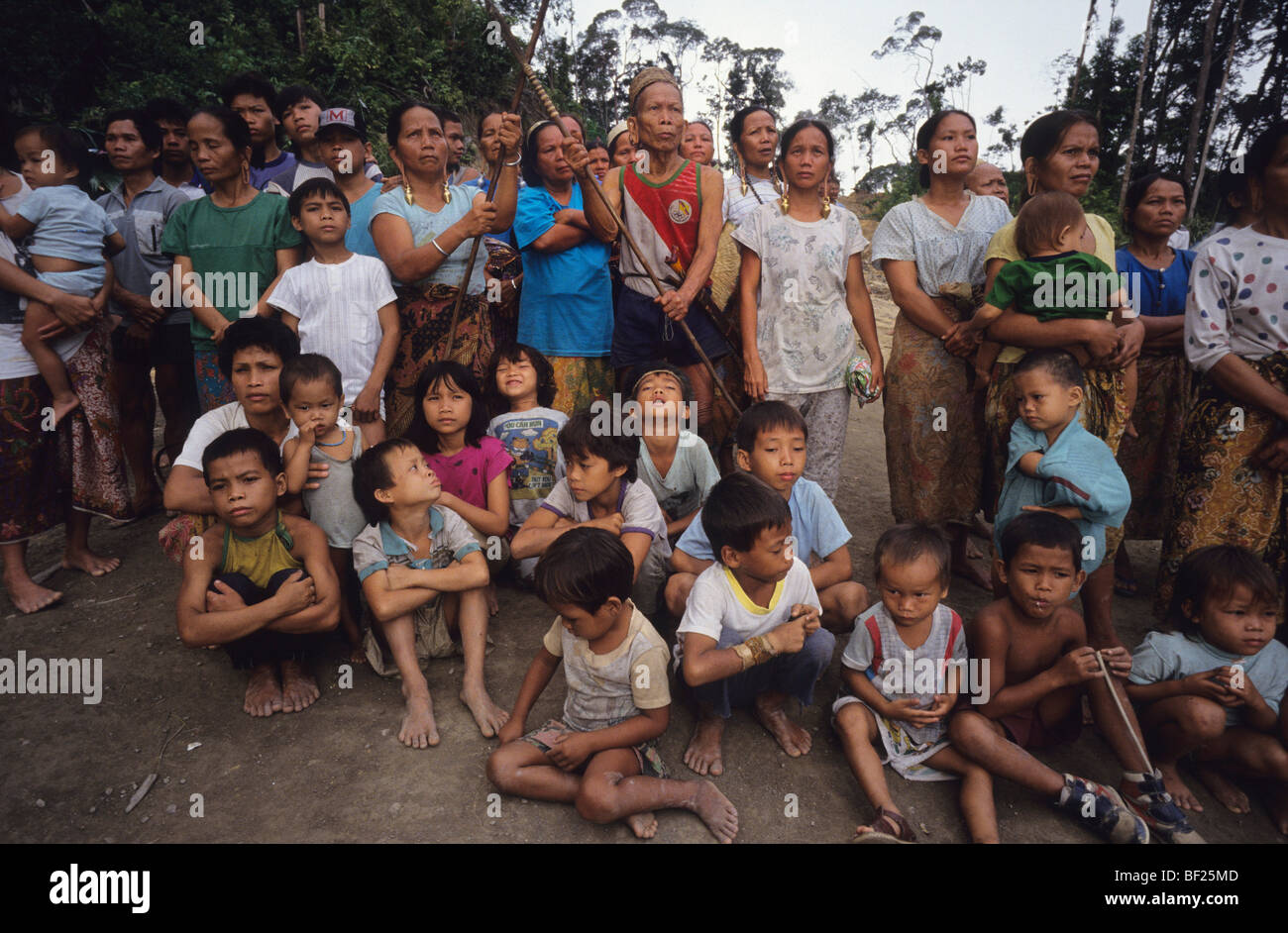 Dayaks blockading logging road. Tropical rainforest, one of the world's ...