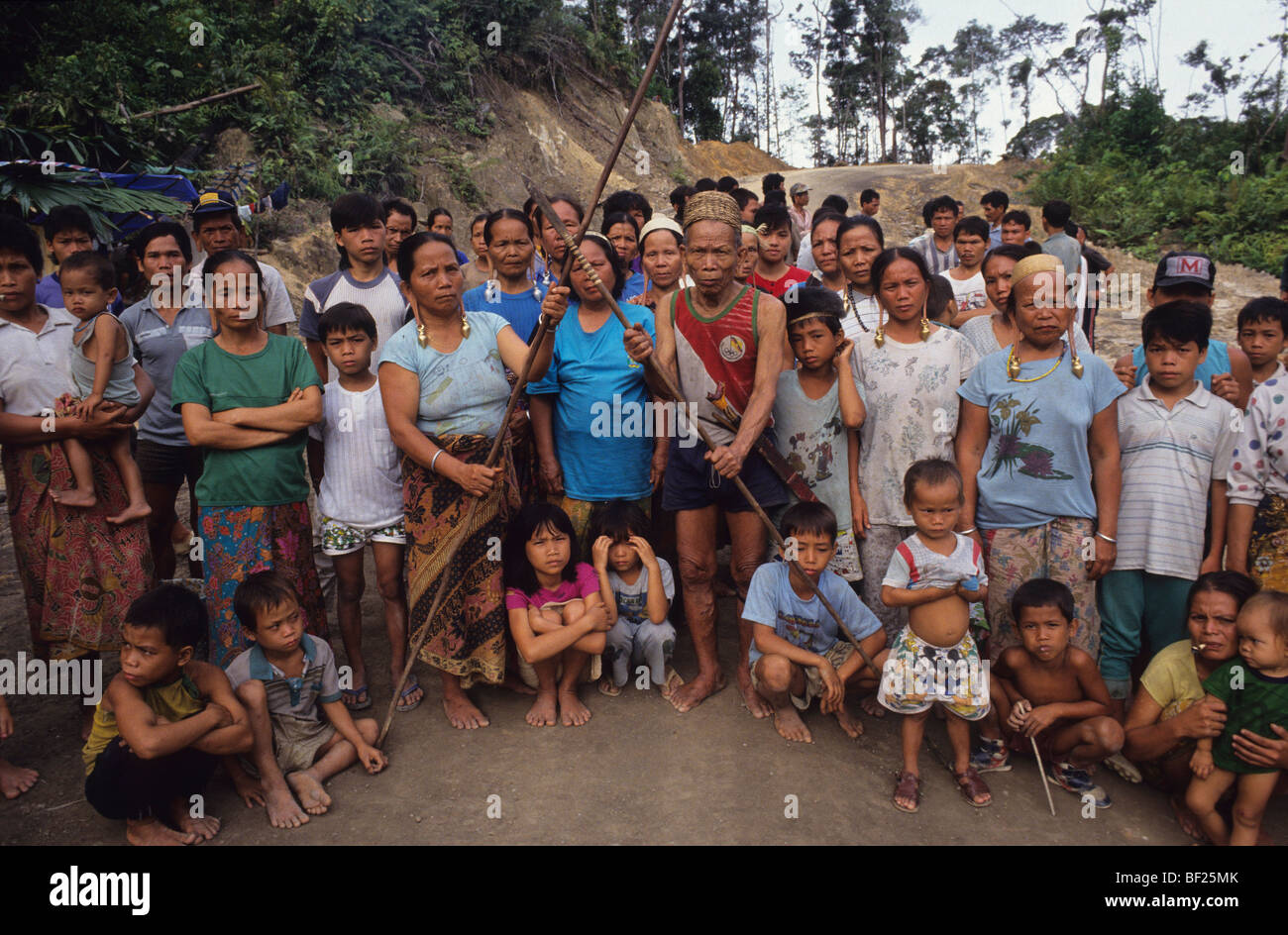 Dayaks blockading logging road. Tropical rainforest, one of the world's ...
