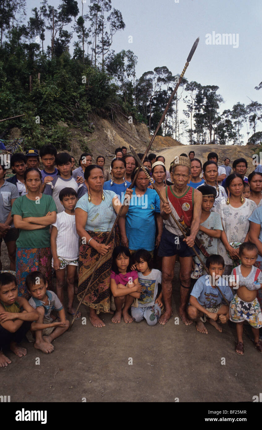 Dayaks blockading logging road. Tropical rainforest, one of the world's ...