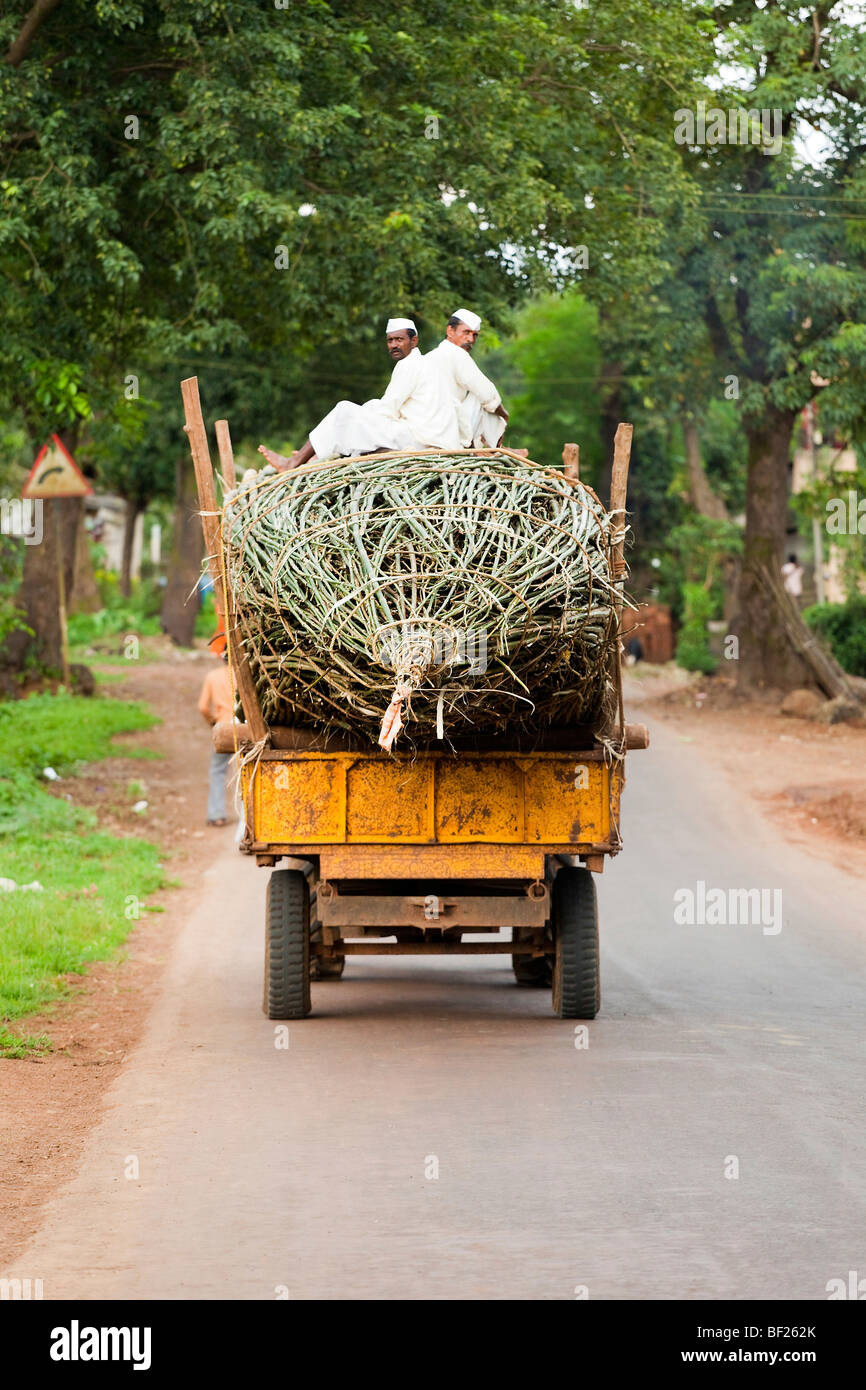 Indian men sitting on top of a trailer carrying bamboo canes. "Salvan ...