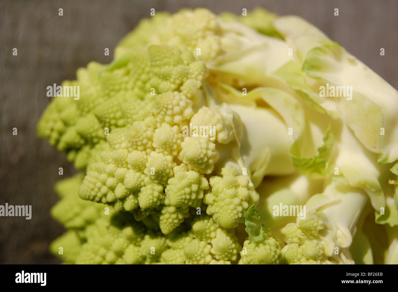 Brassica romanesco hi-res stock photography and images - Alamy