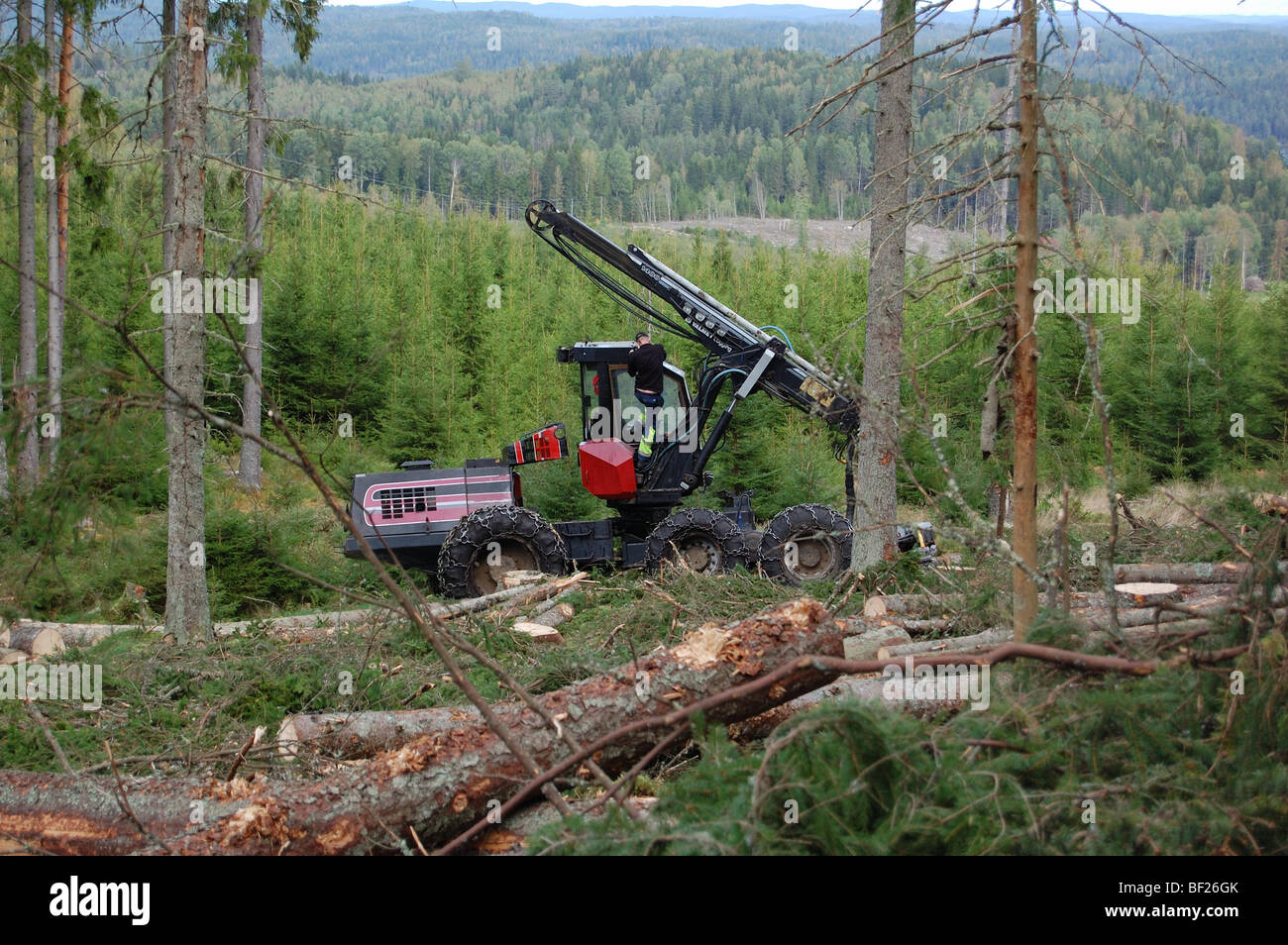 Logging machine hi-res stock photography and images - Alamy