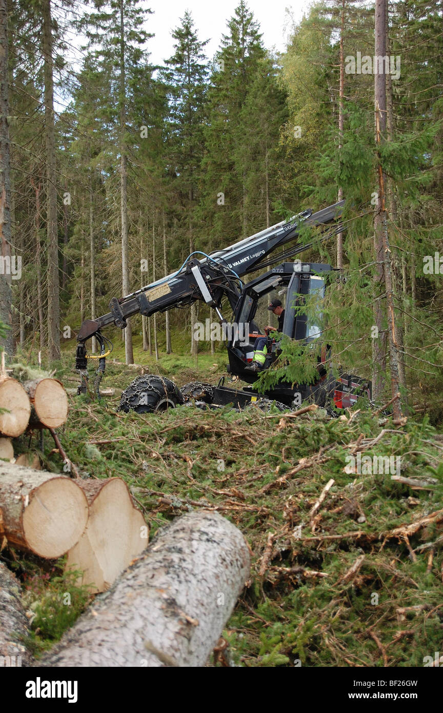 Logging machine hi-res stock photography and images - Alamy