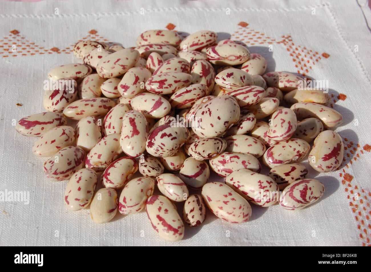 Berlotti beans hi-res stock photography and images - Alamy