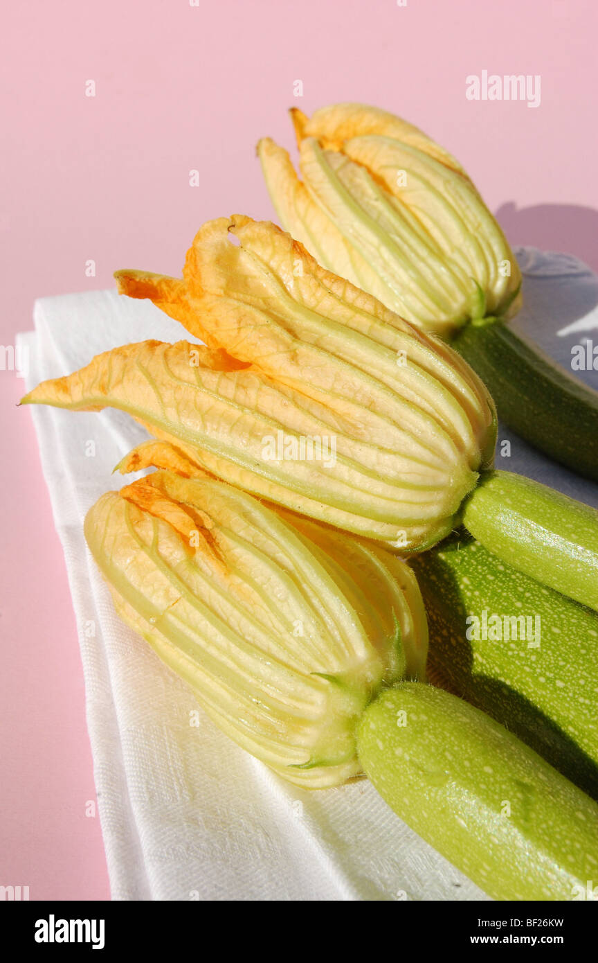 courgettes with their flowers Stock Photo - Alamy
