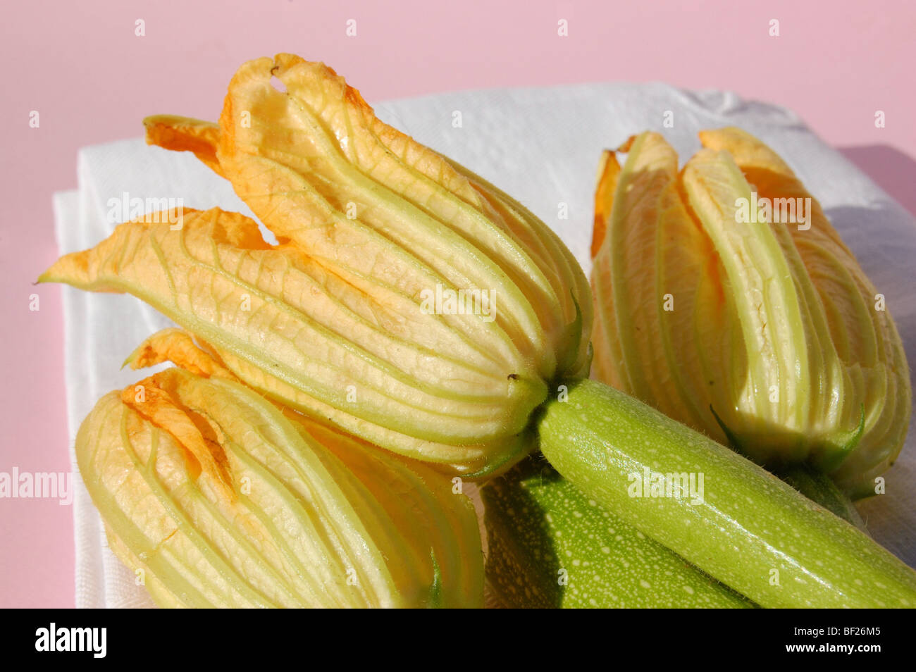 courgettes with their flowers Stock Photo - Alamy