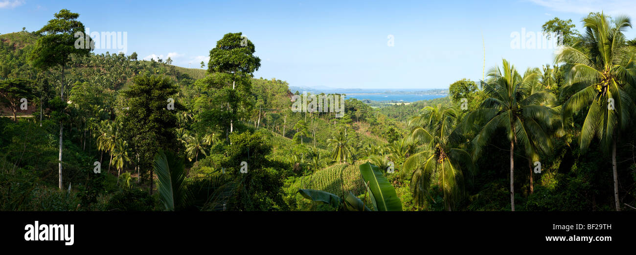 Panoramic landscape of jungle and trees looking towards the sea. Iloilo ...