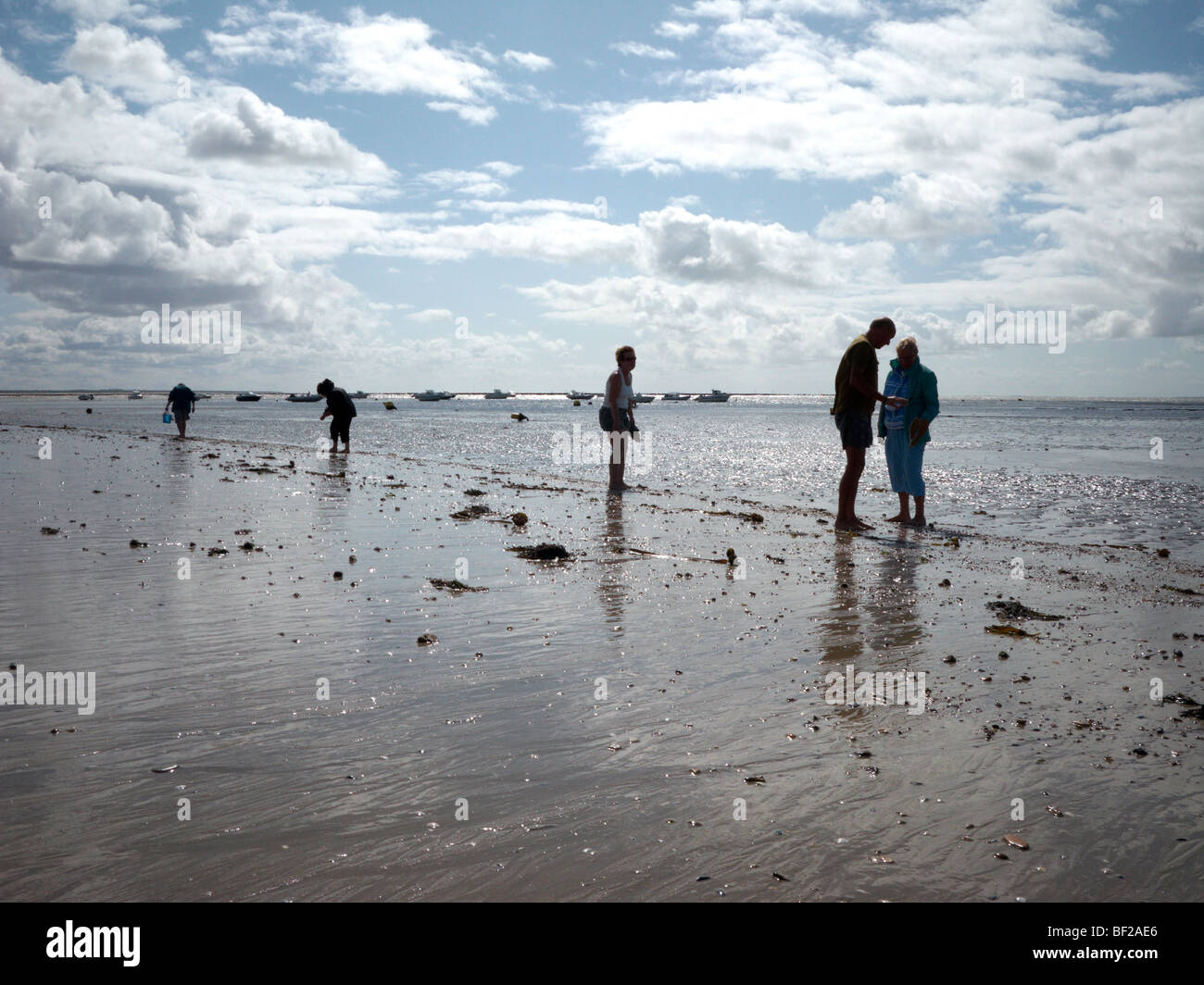 Rock Pooling Children High Resolution Stock Photography and Images - Alamy