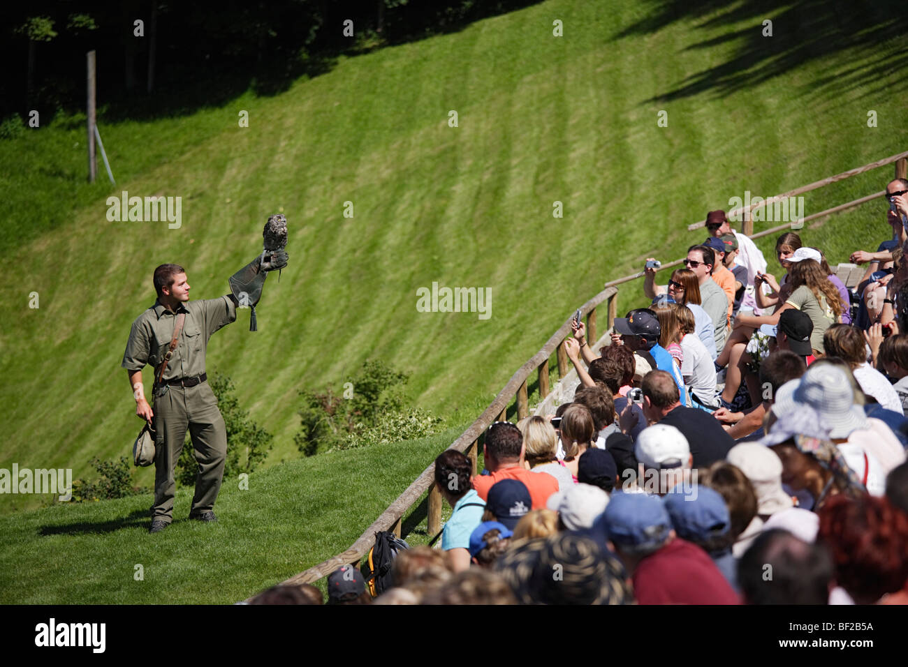Spectators visiting falconry display, Pfander, Bregenz, Vorarlberg ...