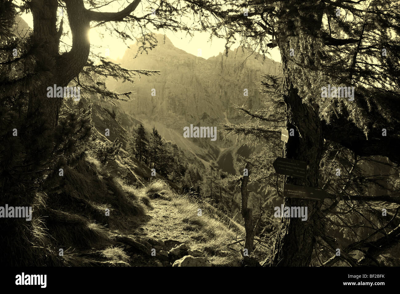 Julian alps backlight hi-res stock photography and images - Alamy