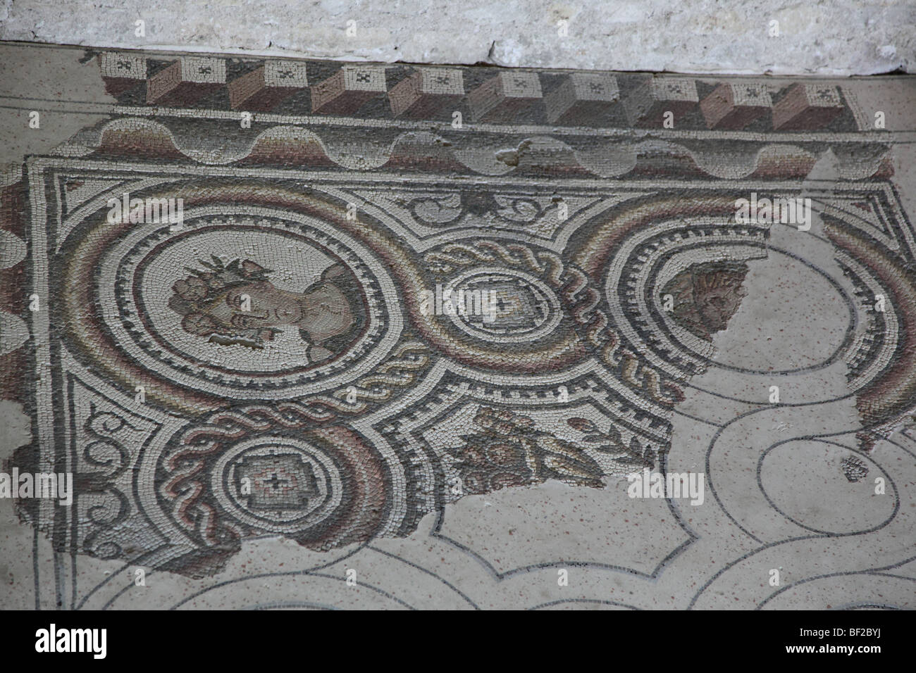 France, Loupian Roman Villa - geometrical, floral motives of the gallo ...