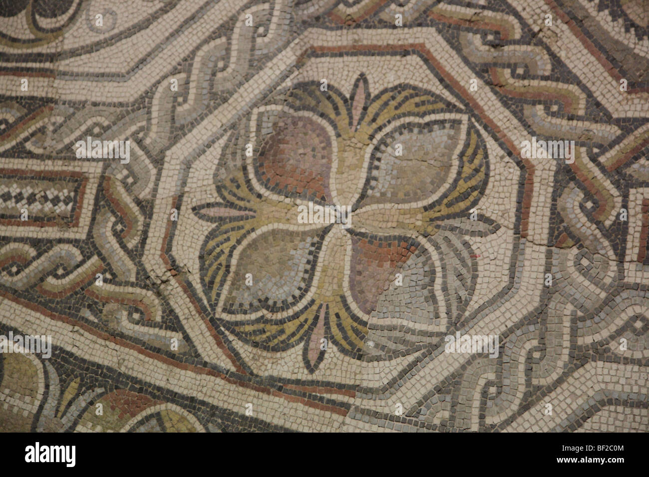 France, Loupian Roman Villa - geometrical, floral motives of the gallo ...