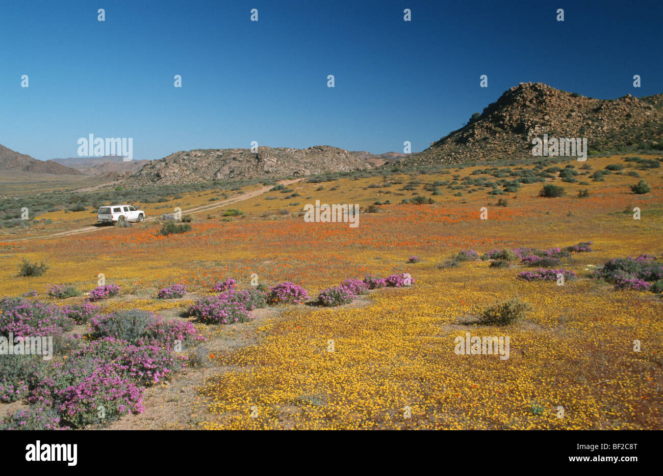 Northern cape namaqualand hi-res stock photography and images - Alamy
