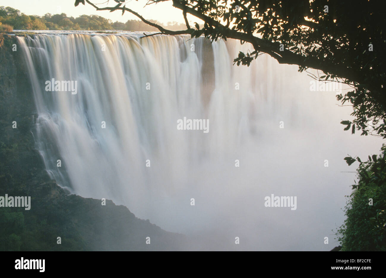 View of Victoria Falls through the trees, Victoria Falls, Zimbabwe ...