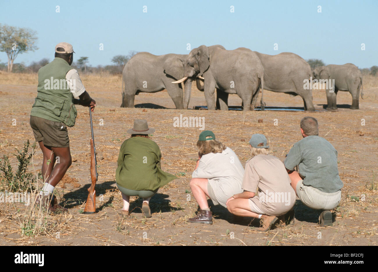 Safari ranger hi-res stock photography and images - Alamy