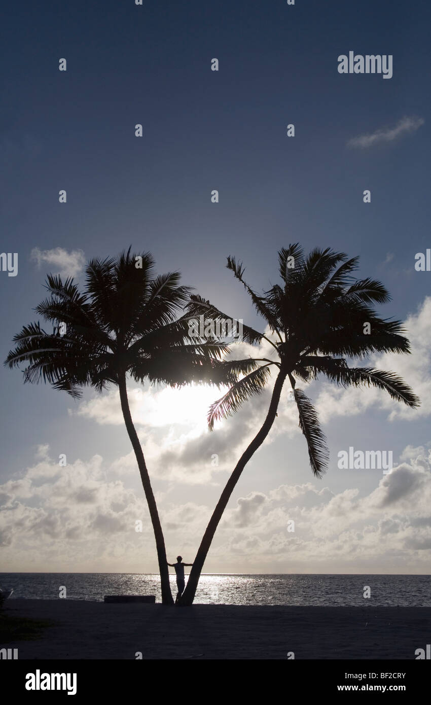 Man standing between two trees hi-res stock photography and images - Alamy