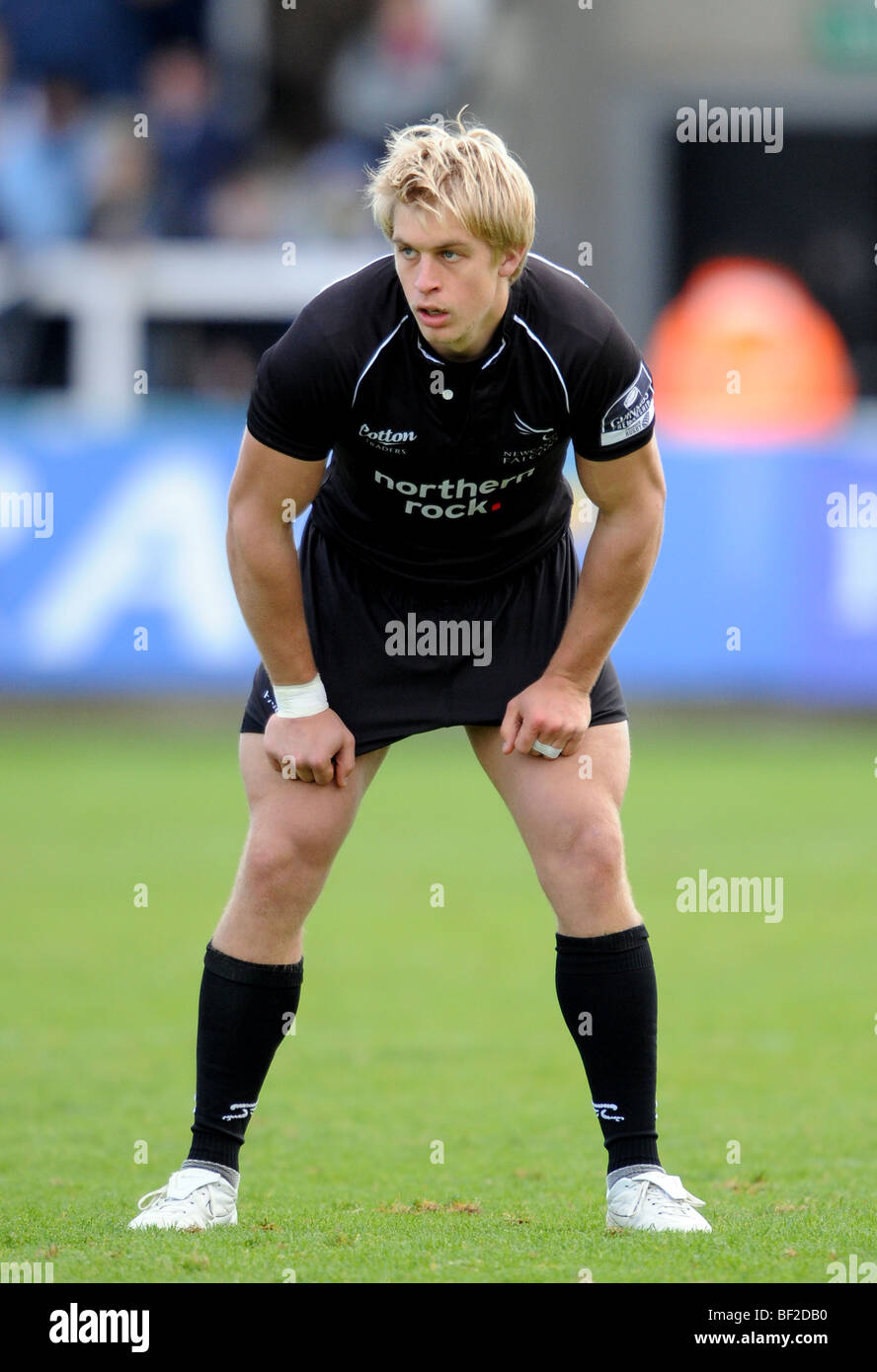 CHARLIE AMESBURY NEWCASTLE FALCONS KINGSTON PARK NEWCASTLE ENGLAND 04 ...