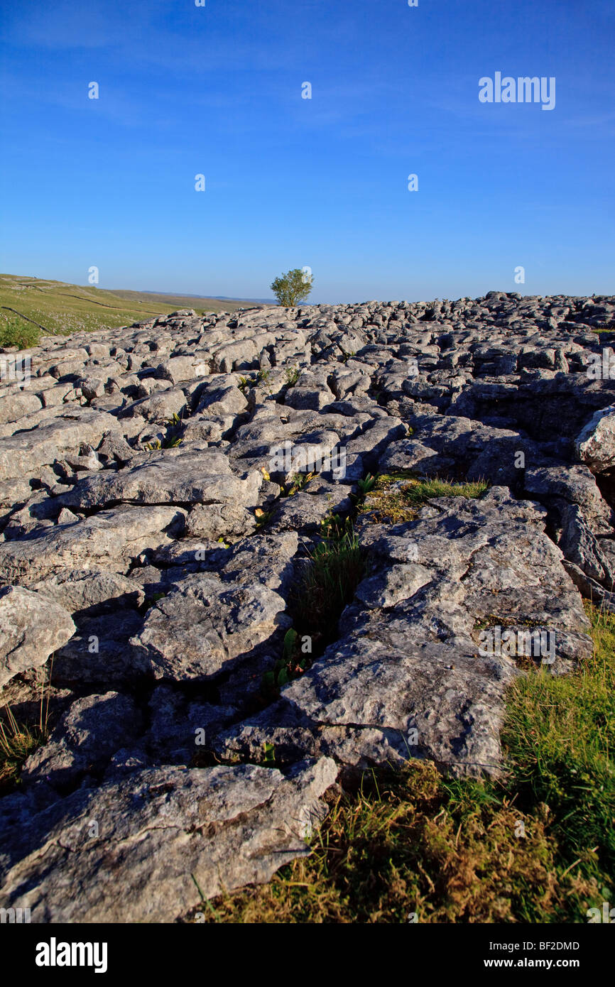 Limestone causeway hi-res stock photography and images - Alamy