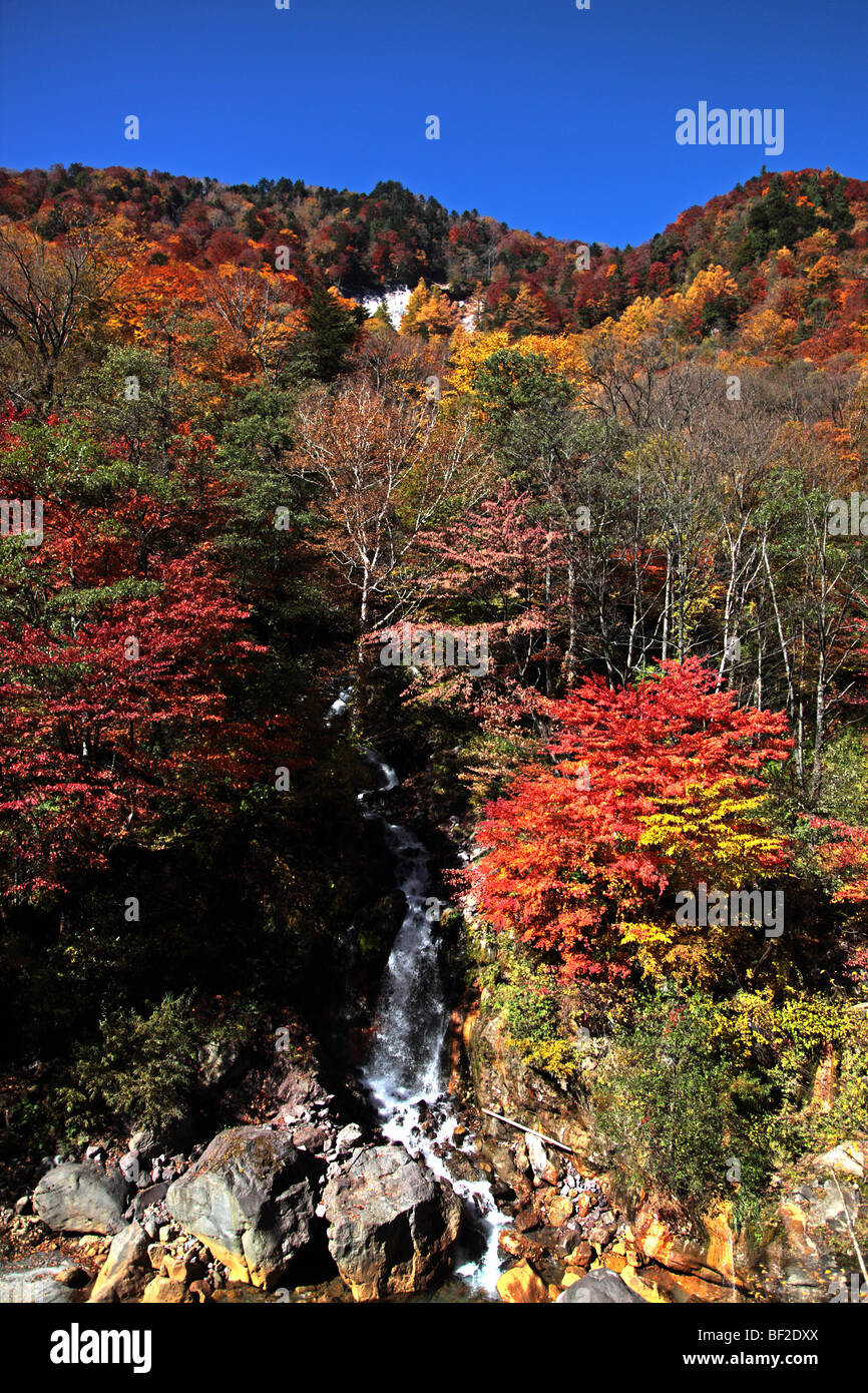 Autumn leaves and waterfall in mountain Nagano Japan Stock Photo - Alamy