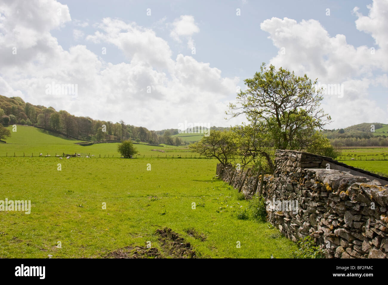 Burness Fells near Rusland, Lake District, England Stock Photo - Alamy