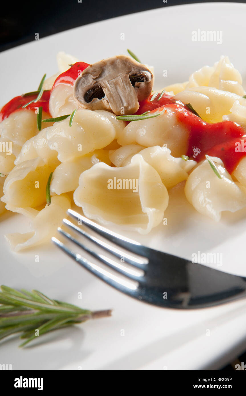 Conchiglie hi-res stock photography and images - Alamy
