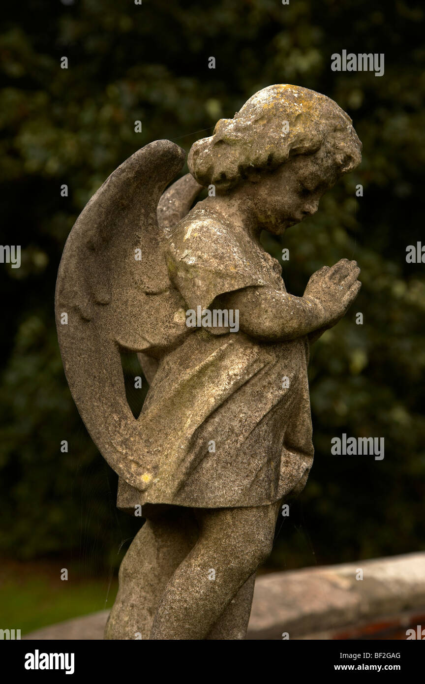 Angel in graveyard Stock Photo - Alamy