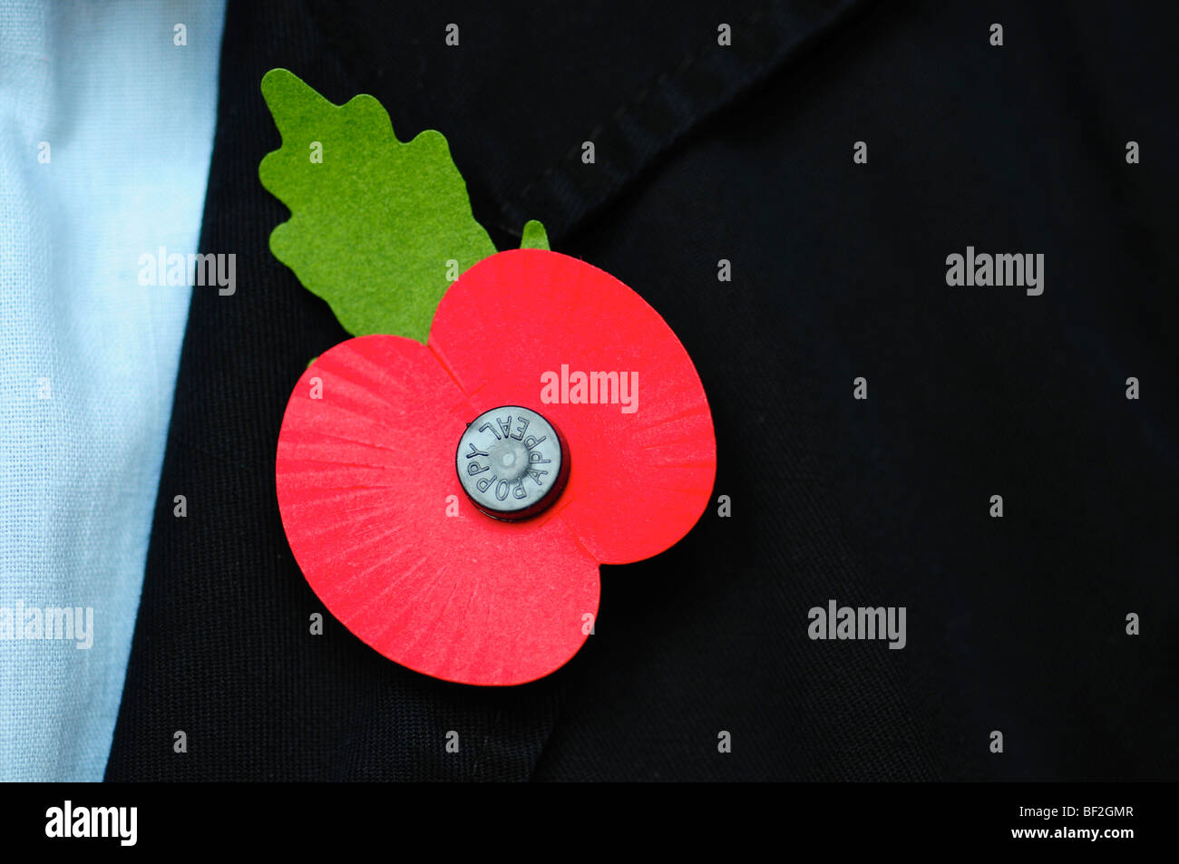 Person wearing a red poppy Stock Photo - Alamy