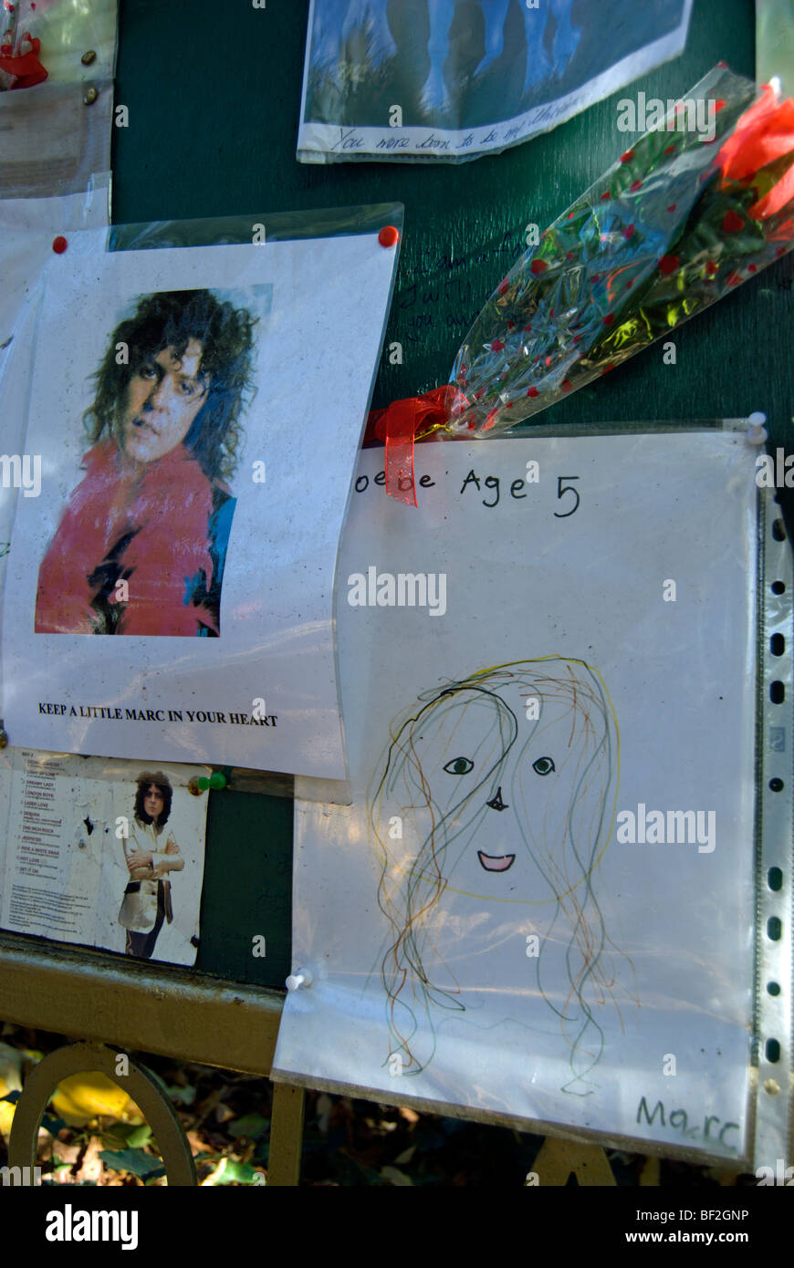 The Bolan Tree High Resolution Stock Photography and Images - Alamy