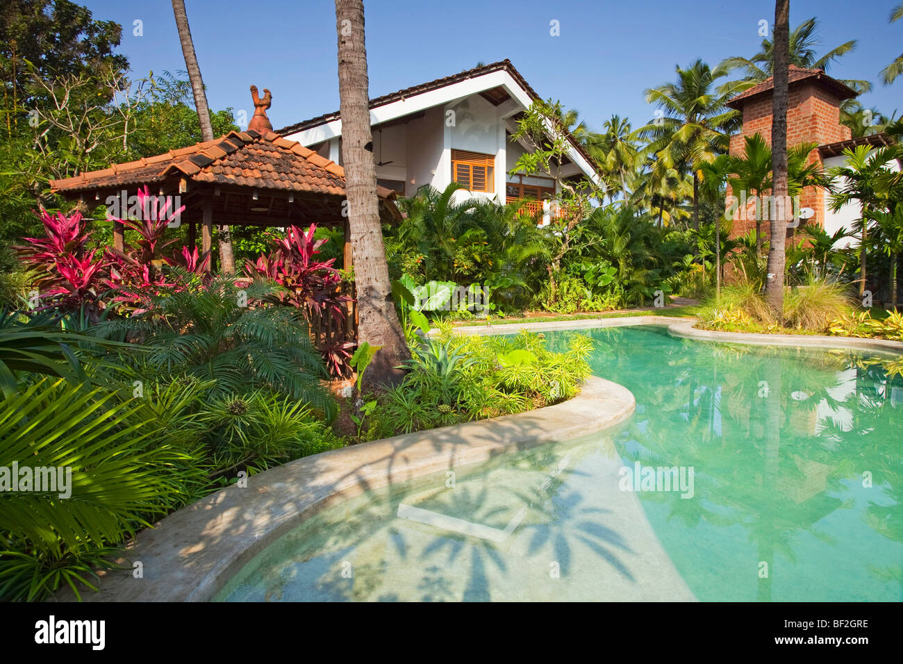 A luxury tropical modern villa with swimming pool surrounded by ...