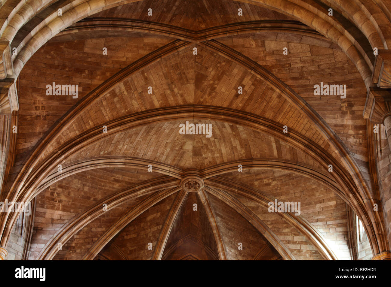 Vaulted roof structure hi-res stock photography and images - Alamy