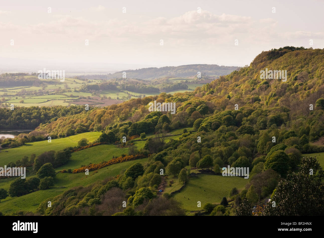 Whitestone cliff hi-res stock photography and images - Alamy