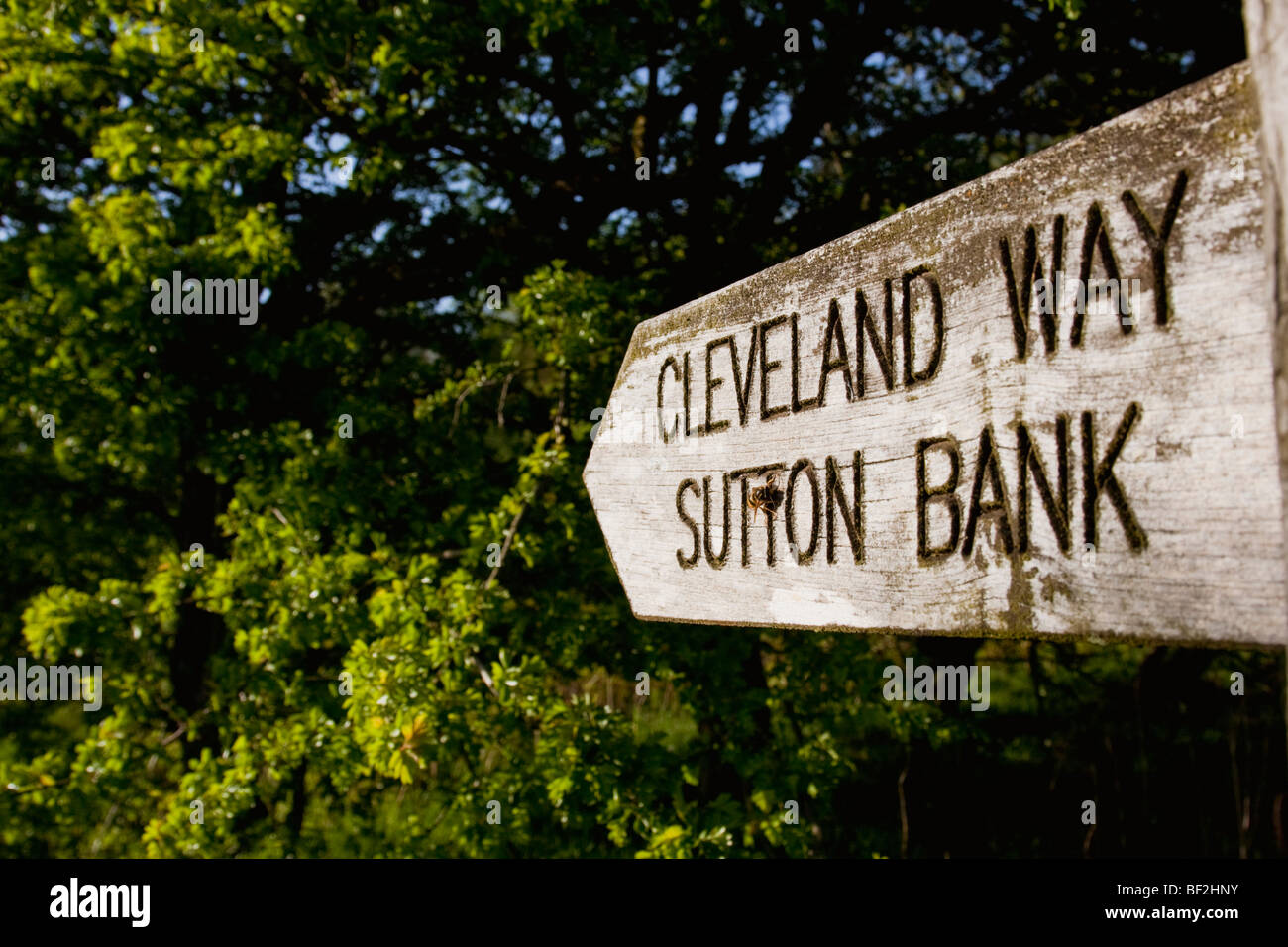 Sign on the Cleveland Way to Sutton Bank Stock Photo - Alamy